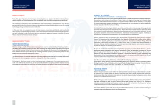 Amerilithium Q1 Presentation | PDF