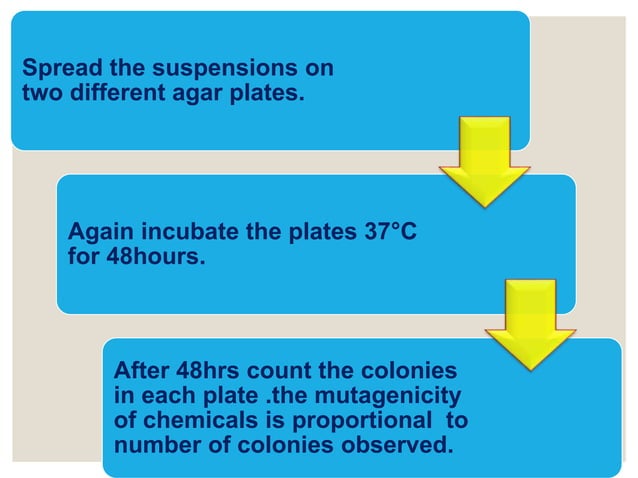 Ames test | PPTX | Medical Tests | Medical Health