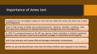 AMES TEST..pptx