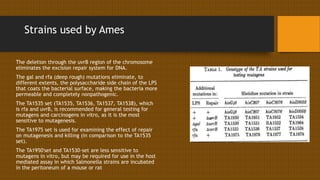 AMES TEST..pptx