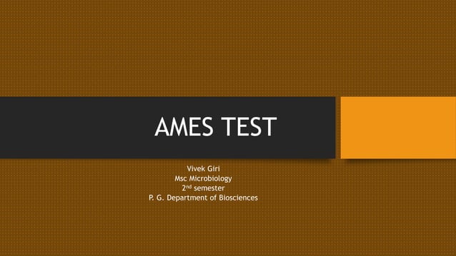 AMES TEST.pptx