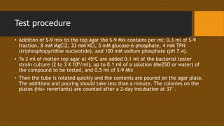AMES TEST.pptx
