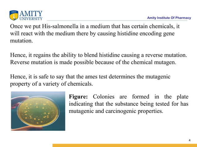 Ames test | PPT | Medical Tests | Medical Health
