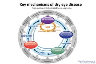 dry eye | PPTX | Eye and Vision Conditions | Diseases and Conditions