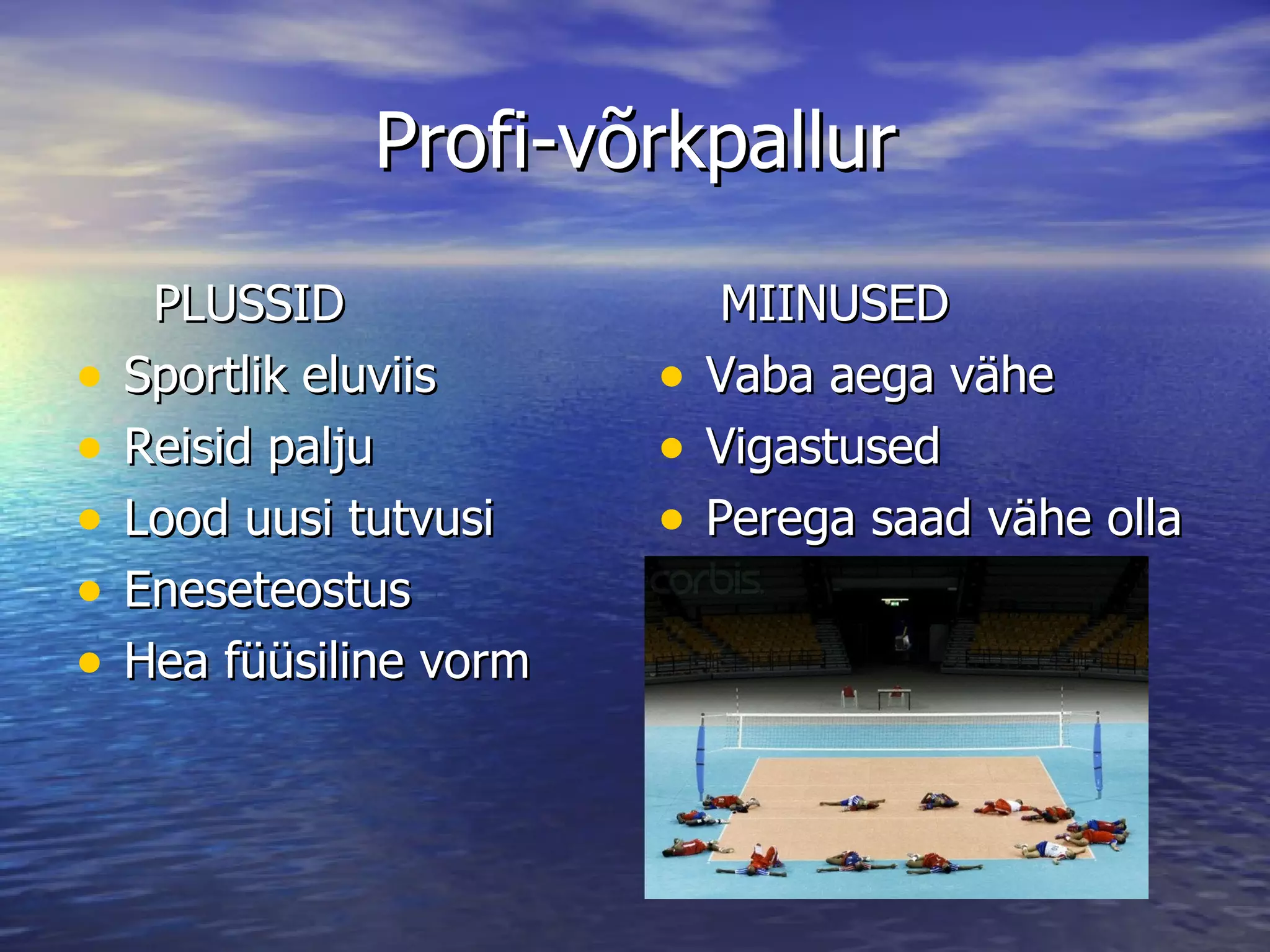 Ametid Rauno Liivrand | PPT