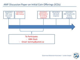 AMF discussion paper presentation final | PPT