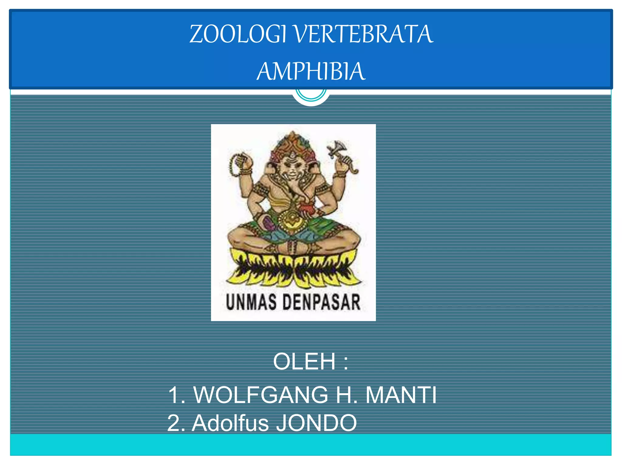 AMPHIBIA | PPTX