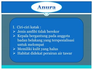 AMPHIBIA | PPTX