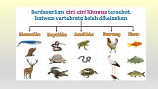 AMFIBIA TAHUN 4.pptx