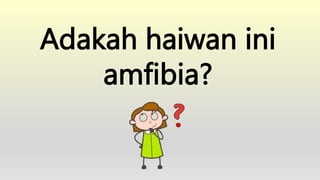 AMFIBIA TAHUN 4.pptx