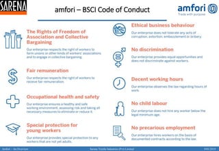Amfoi BSCI & BEPI An Introduction | PPTX