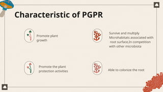 Role of arbuscular mycorrhizal fungi &PGPR in Phytoremediation | PPTX