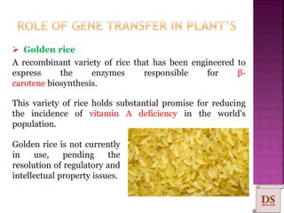 Gene Cloning | PPTX