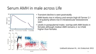 amh and inhibin ppt- role in health care 1.pptx