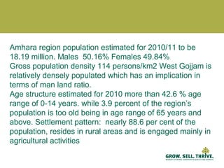 West Gojam Presentation (Zewdi) | PPT