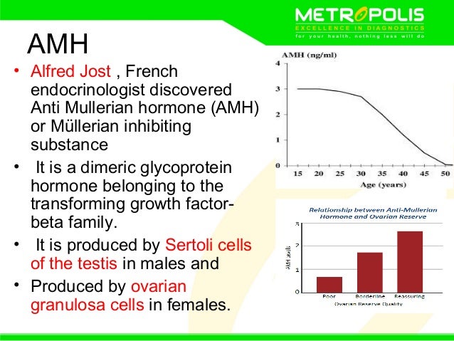 Anti mullerian hormone