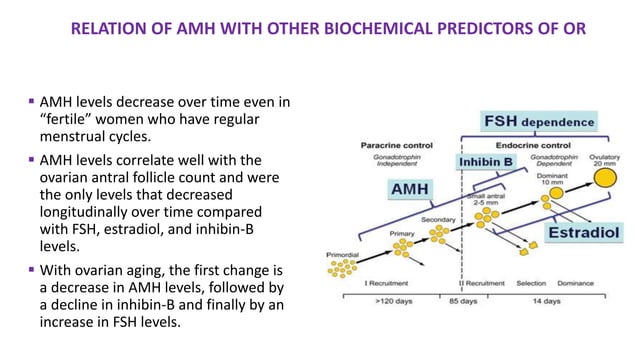 AMH & its Clinical Implications.pptx