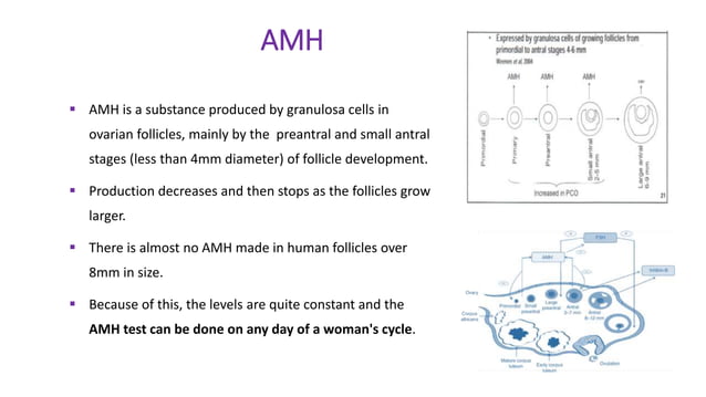 AMH & its Clinical Implications.pptx