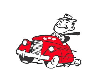 Linking Structured and Unstructured Phenotypes through the OMOP Common ...