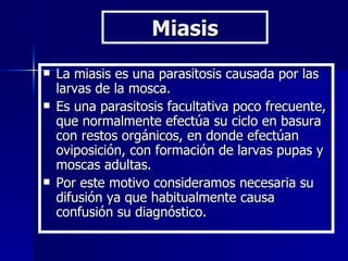 A) miasis slp | PPT