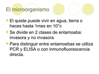 Amibiasis | PPT