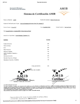 AMIB III | PDF