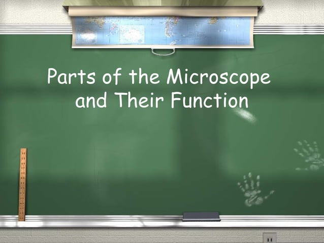 A Microscope Presentation (Parts of the Mircroscope) | PPT