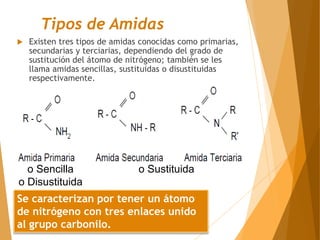 Amida Quimica Organica
