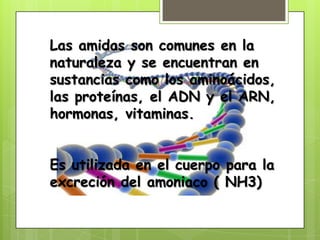 Amidas y aminas | PPTX
