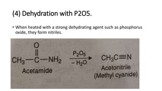 Amides.pptx