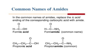 Amides.pptx