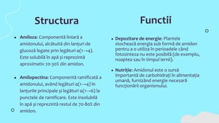 Analiza Chimică a Amidonului: Structură și Funcționalitate | PPTX