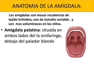 Amigdalitis | PPTX