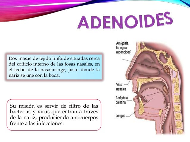 Amigdalas y adenoides