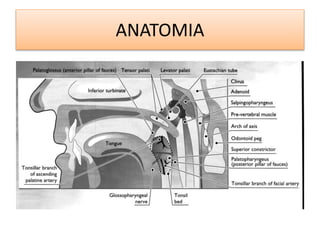Amigdalectomia - Adenoidectomia | PPTX