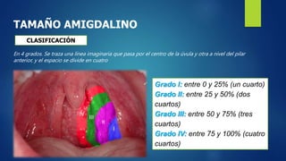 Amigdalitis cristian completa información.pptx