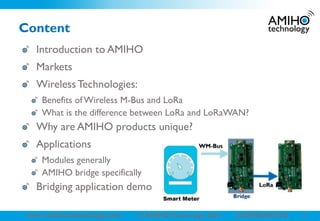 Amiho - Bridging the Gap with LoRa | PDF | Internet of Things | Internet