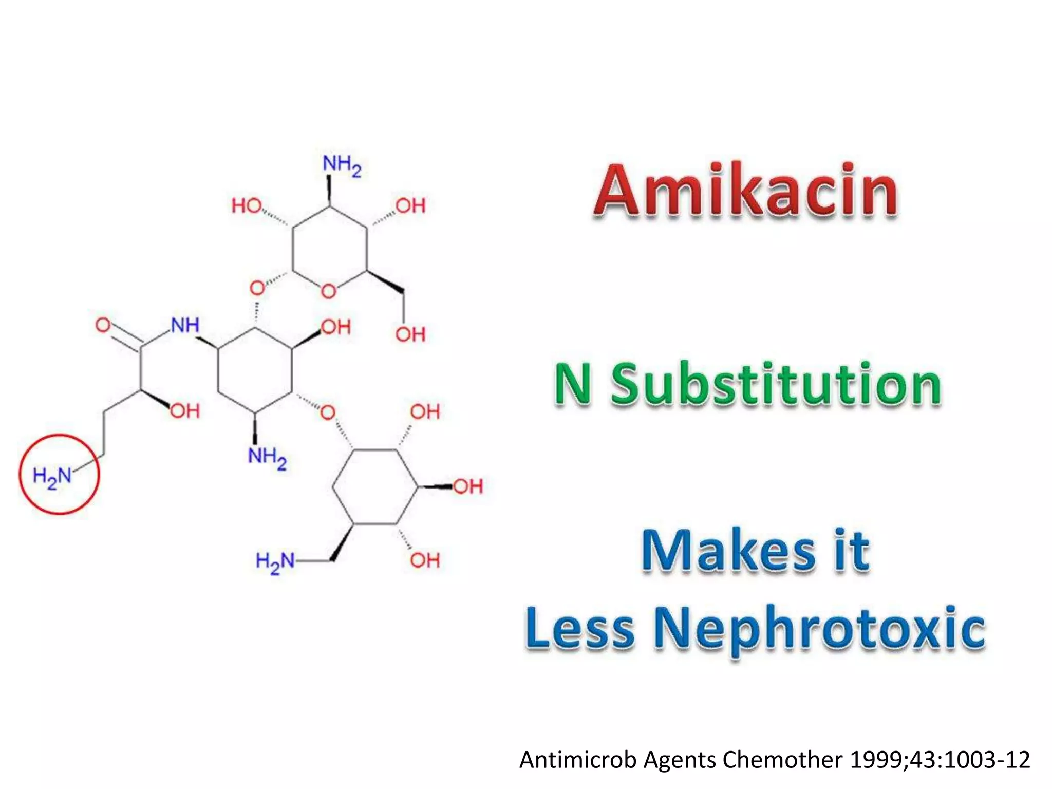 Amikacin | PPTX