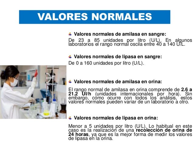 Amilasa y-lipasa (1)