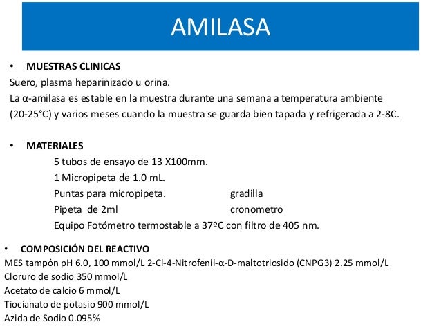 Amilasa y-lipasa (1)