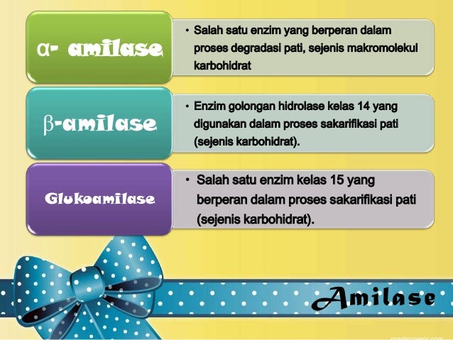 Amilase dan gama gt