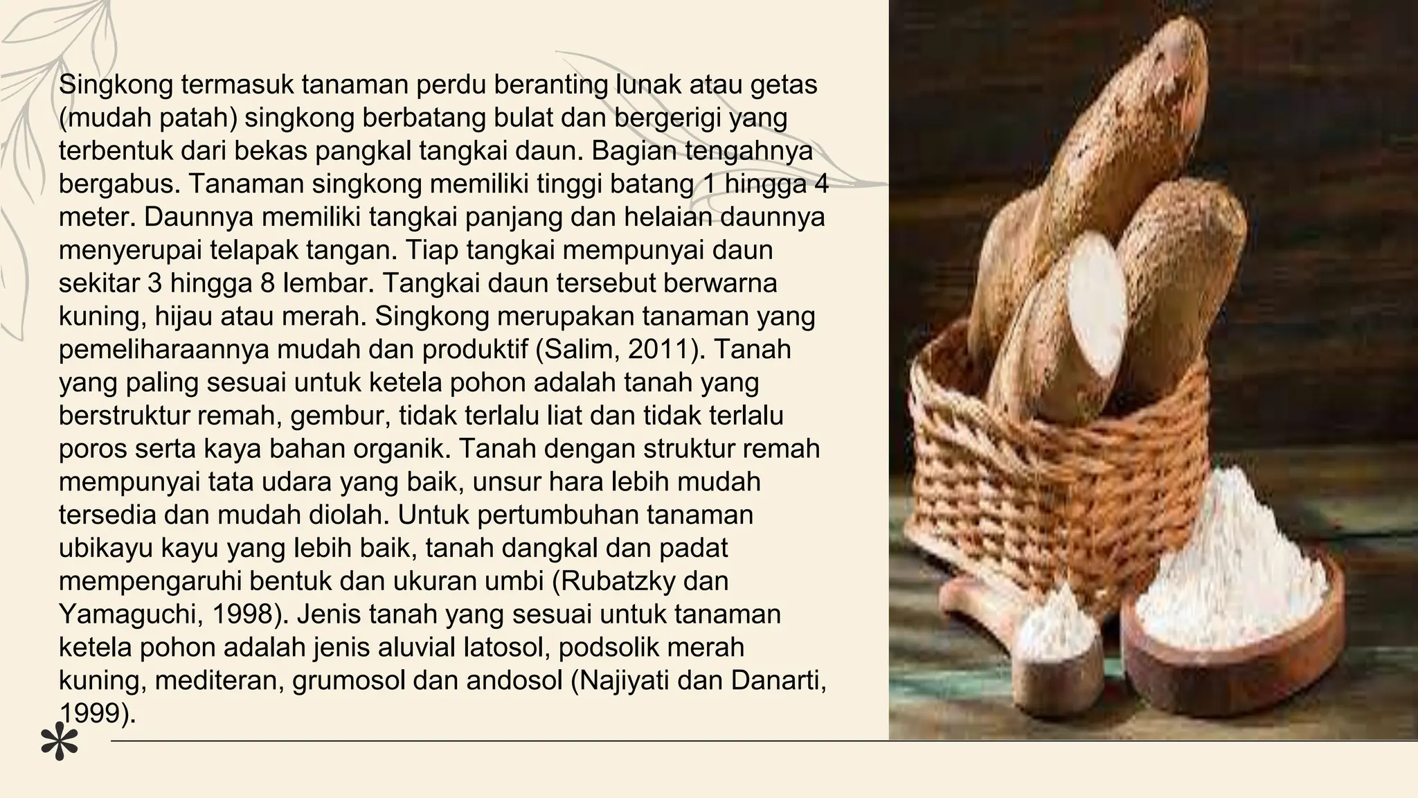 TATA CARA PEMBUATAN AMILUM MANIHOT .pptx