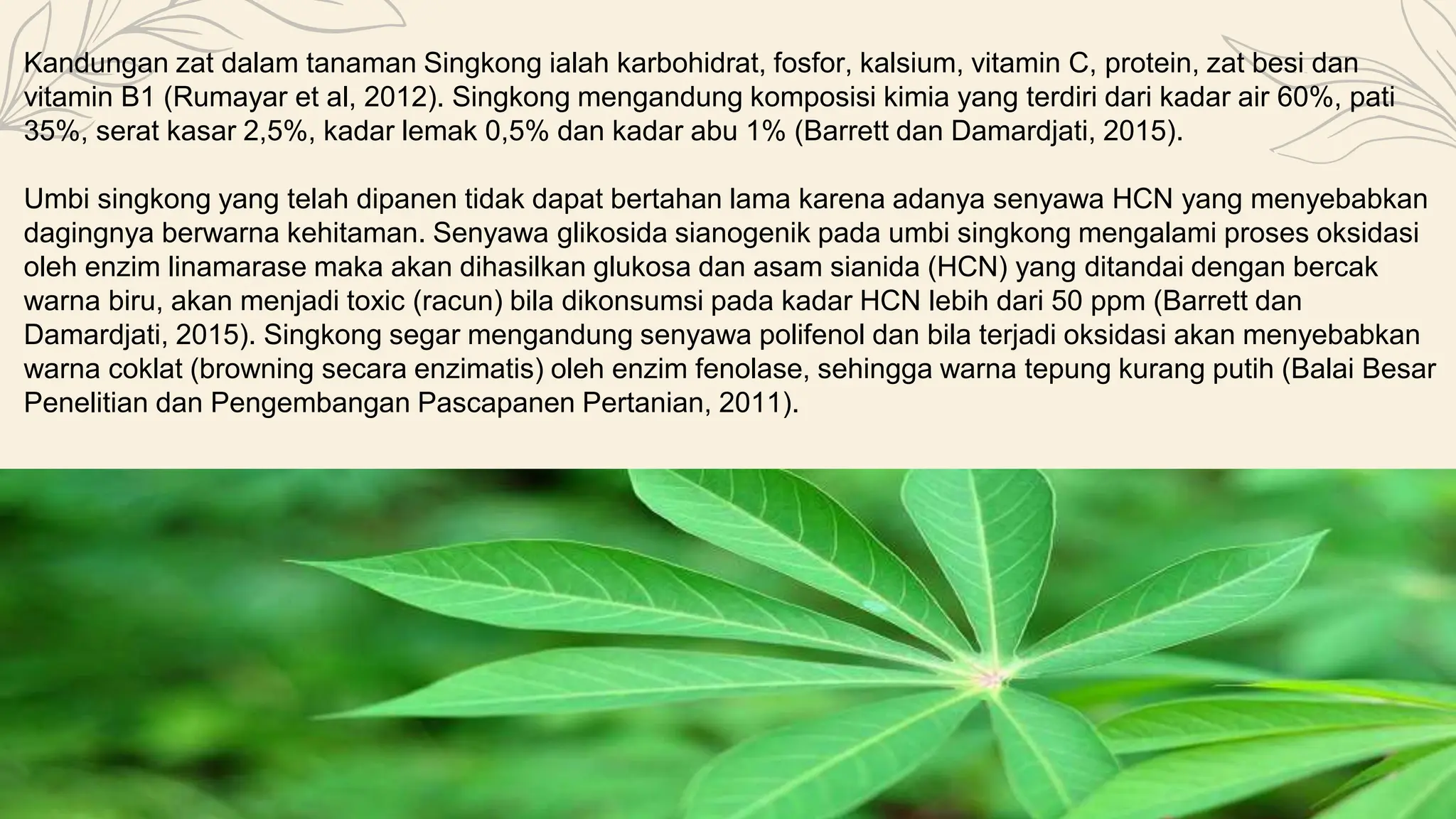 TATA CARA PEMBUATAN AMILUM MANIHOT .pptx