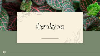 TATA CARA PEMBUATAN AMILUM MANIHOT .pptx