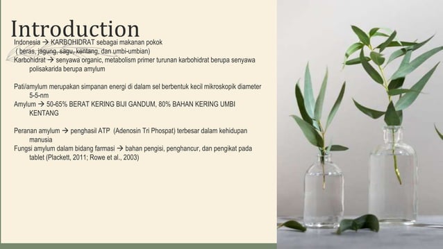 TATA CARA PEMBUATAN AMILUM MANIHOT .pptx