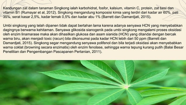 TATA CARA PEMBUATAN AMILUM MANIHOT .pptx