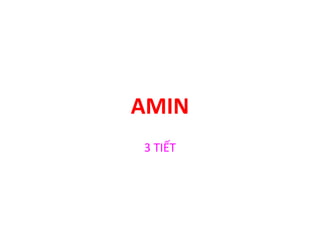 Amin | PDF
