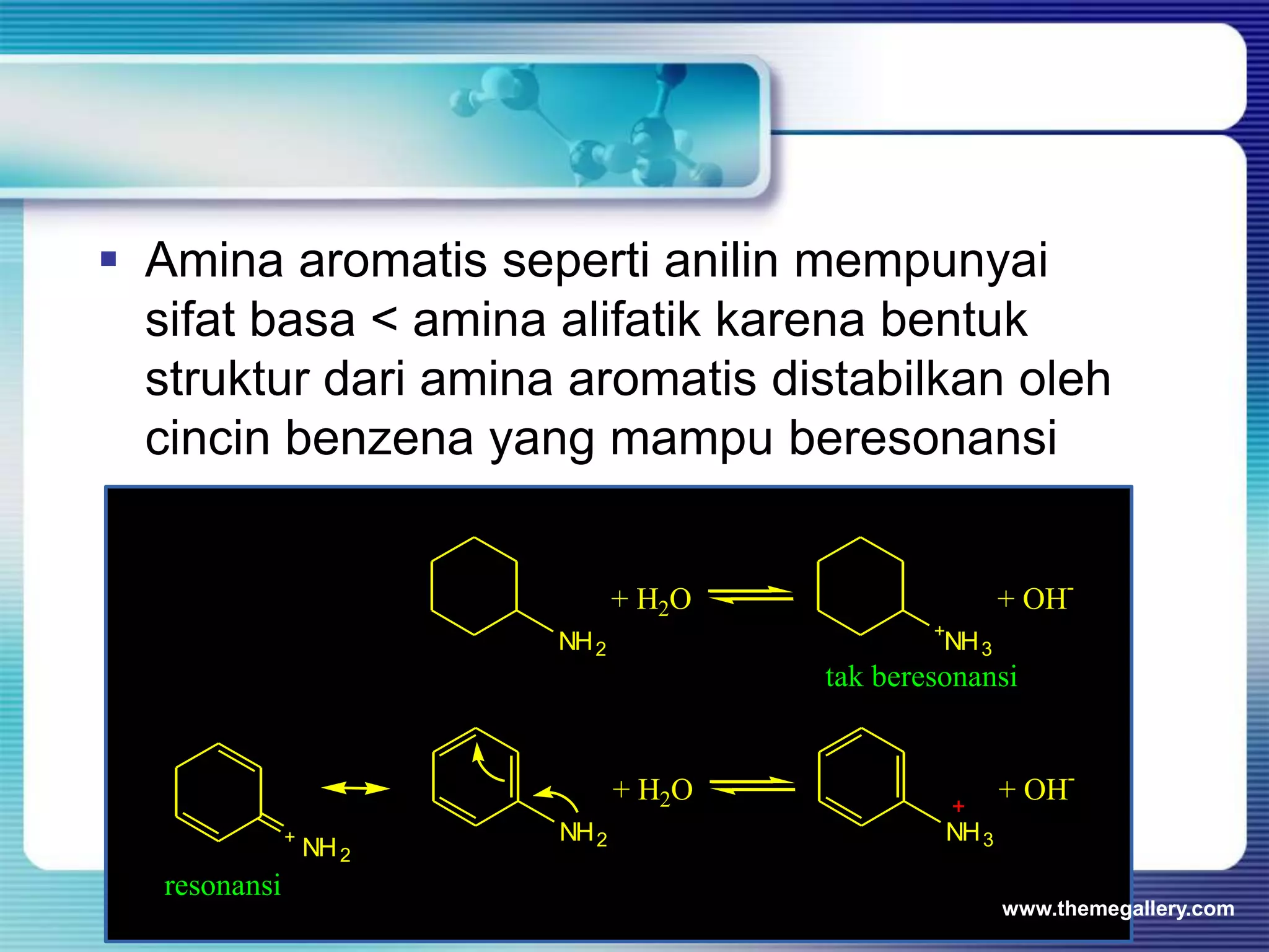 Amina | PPTX