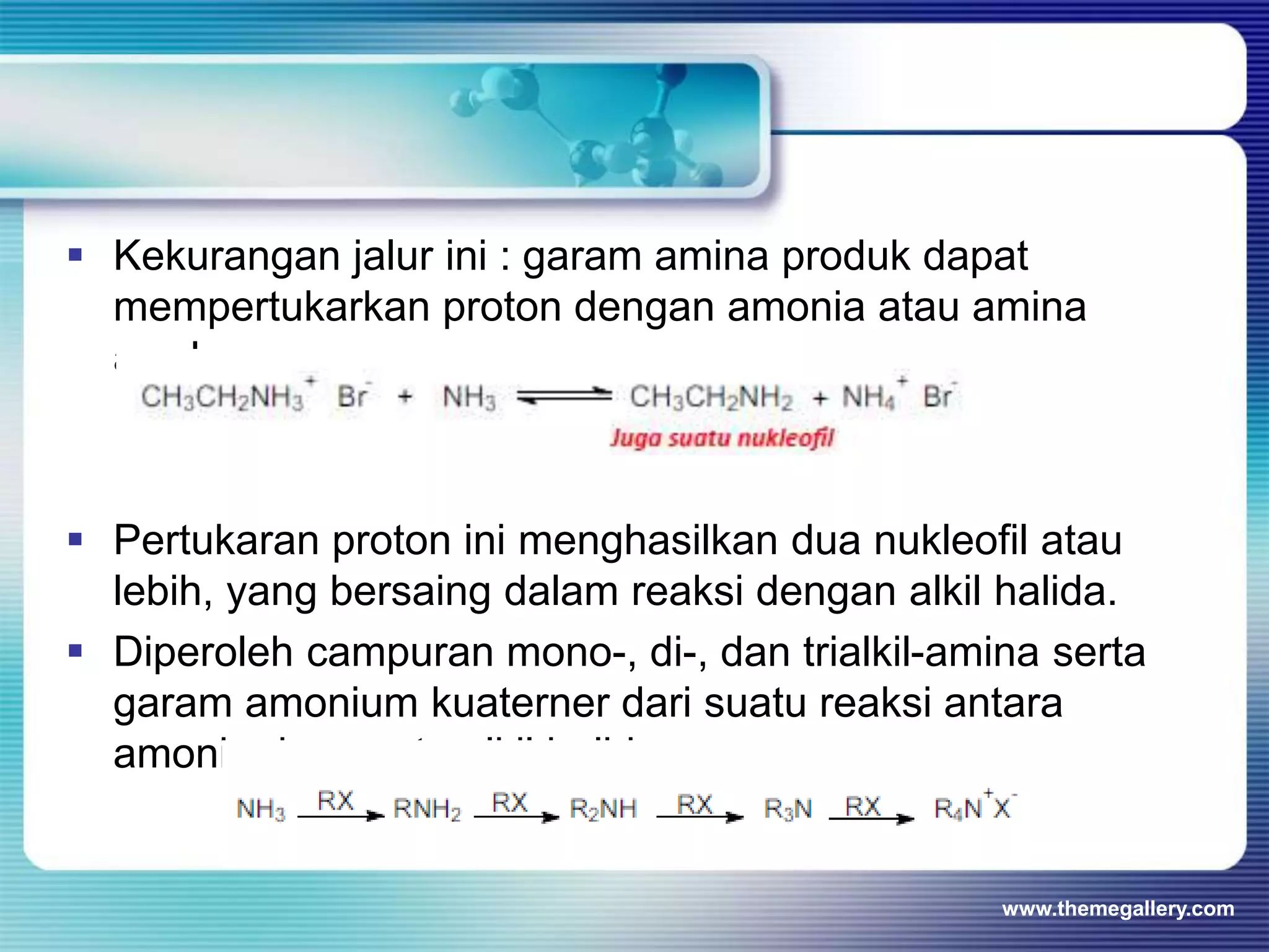 Amina | PPTX