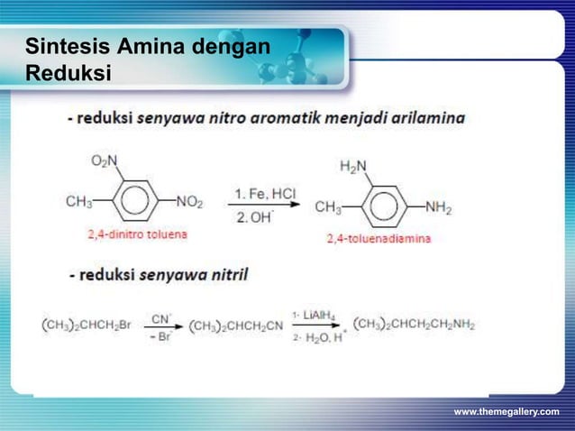 Amina | PPTX